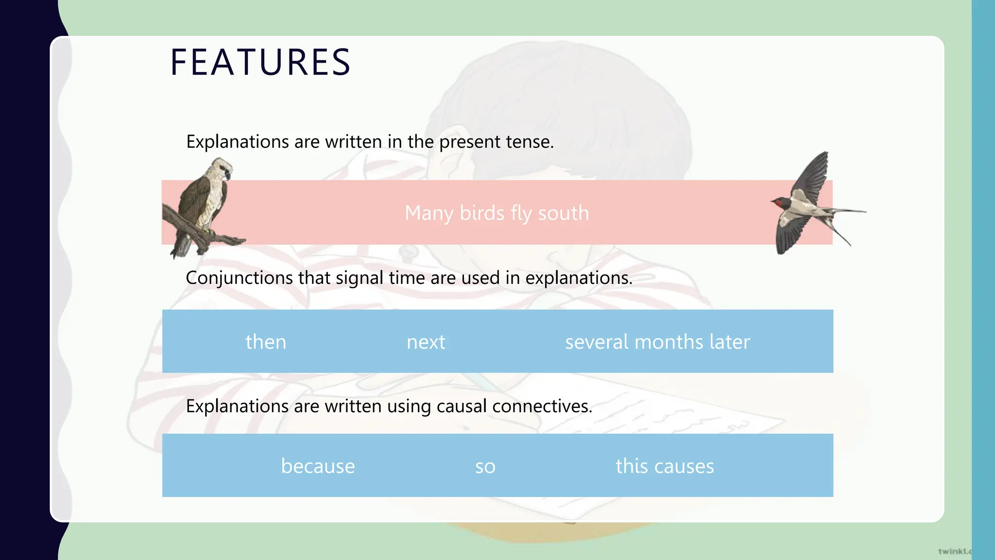 English-Week-3-Explanation-text-PowerPoint.pptx