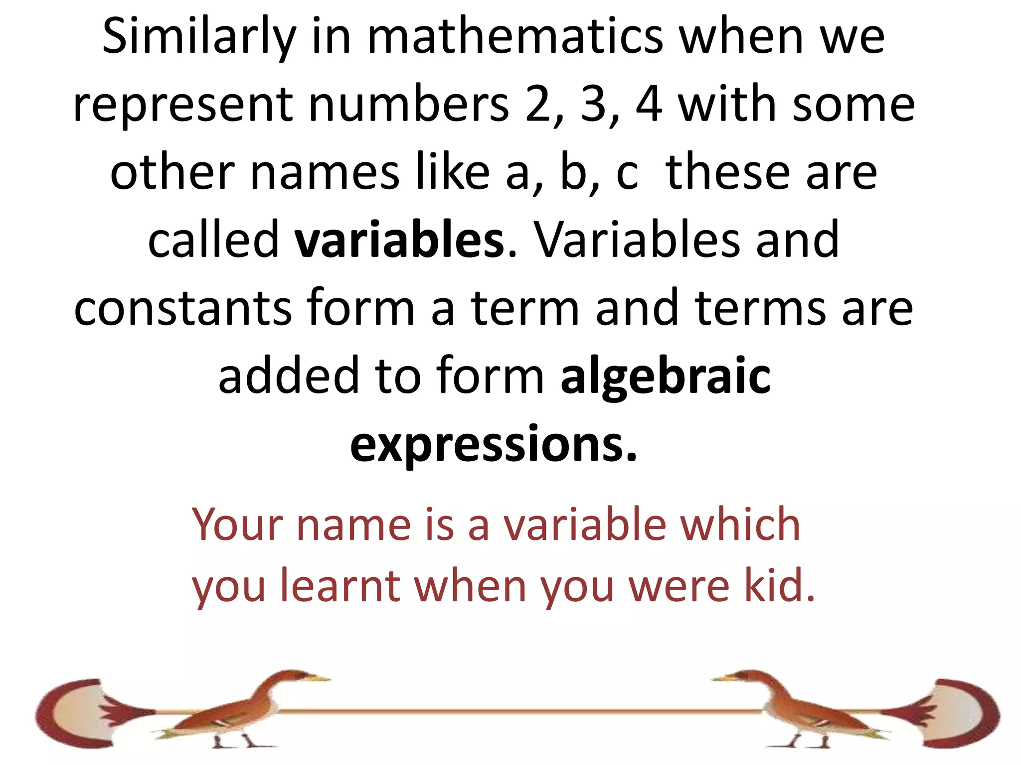 algebraic expression class VIII | PPTX