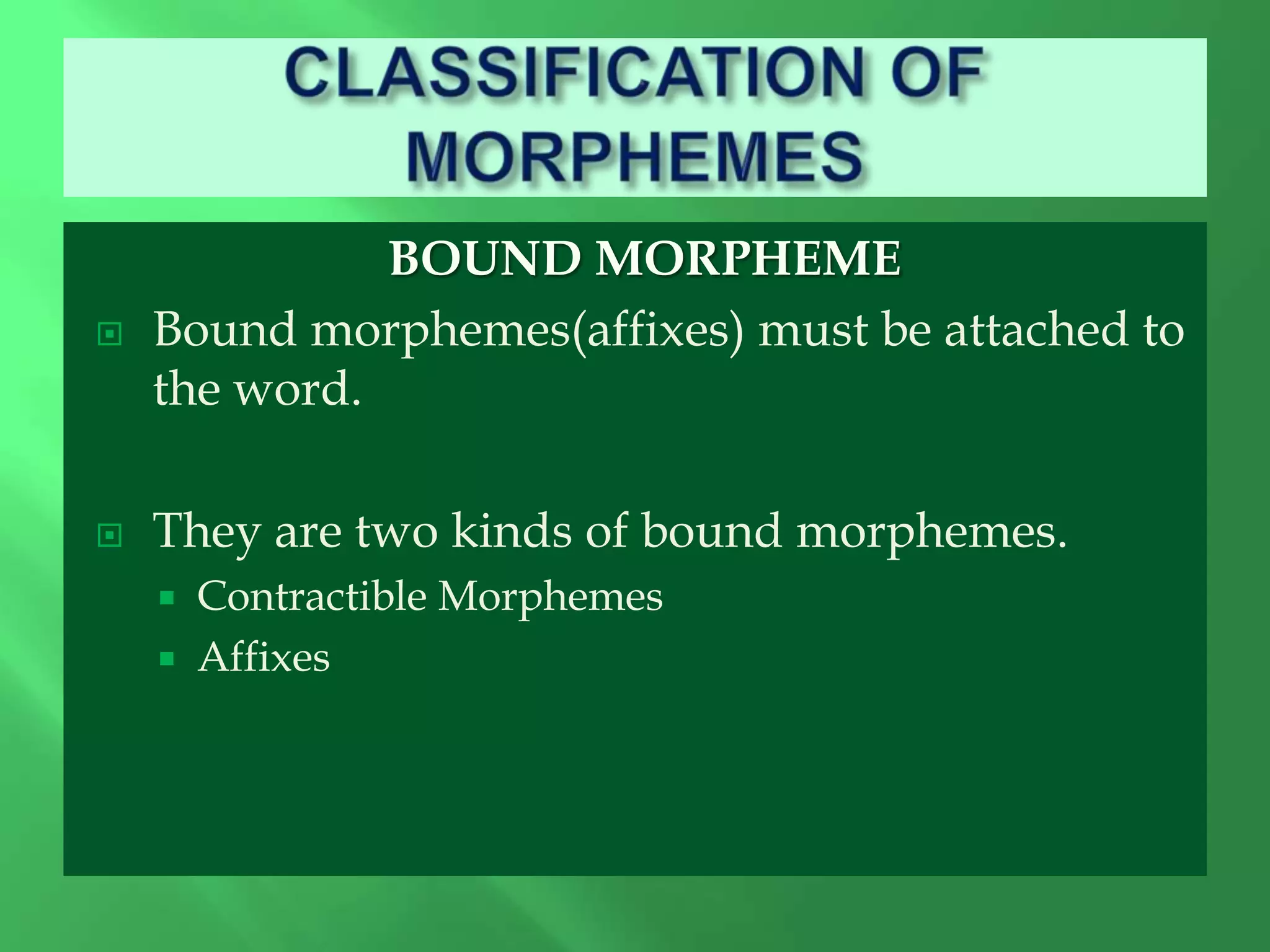 MORPHOLOGY Muhammad Qasim Department of Environmental Science ... MORPHOLOGY Muhammad Qasim Department of Environmental Science ...