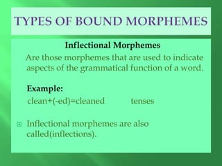 MORPHOLOGY Muhammad Qasim Department of Environmental Science ...