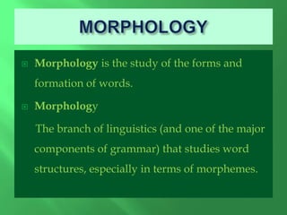 MORPHOLOGY Muhammad Qasim Department of Environmental Science ...