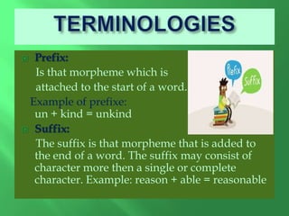 MORPHOLOGY Muhammad Qasim Department of Environmental Science ...