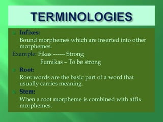 MORPHOLOGY Muhammad Qasim Department of Environmental Science ...