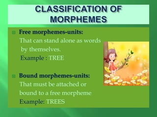 MORPHOLOGY Muhammad Qasim Department of Environmental Science ...