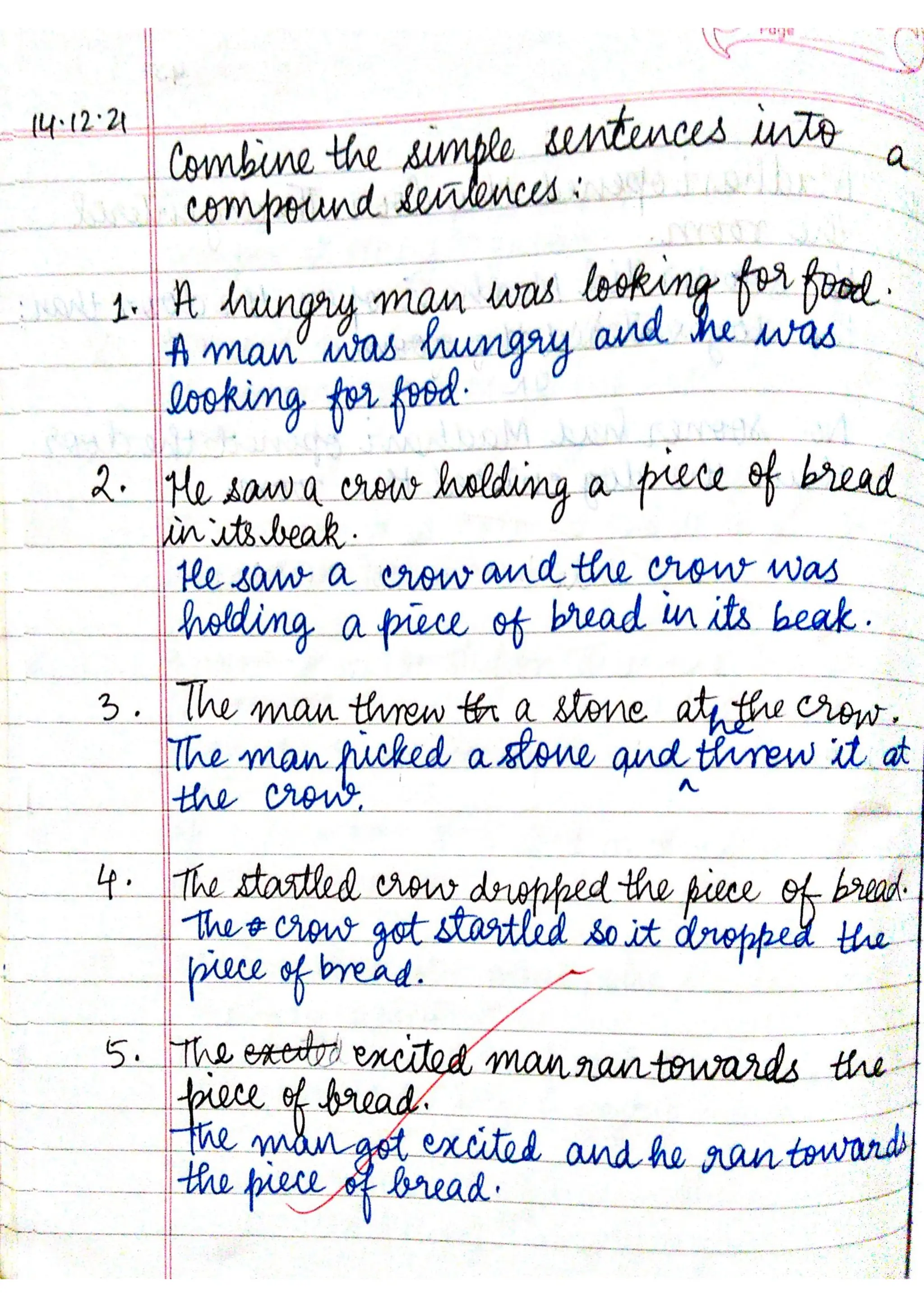 ICSE English Language Class X Handwritten Notes | PDF