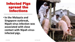 Nipa Virus | PPT