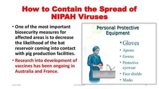 Nipa Virus | PPTX