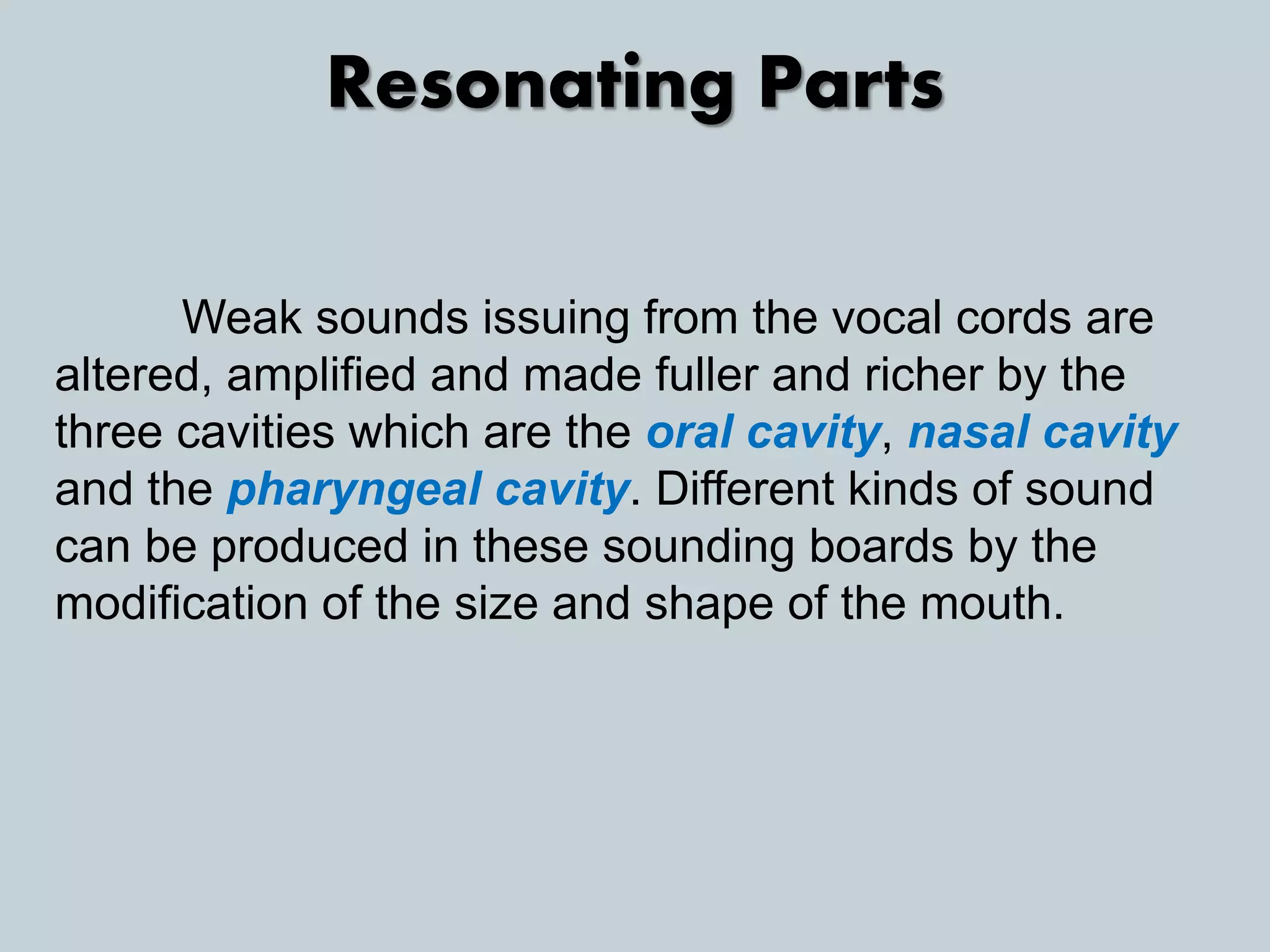 English 3 mechanics of speech | PPTX