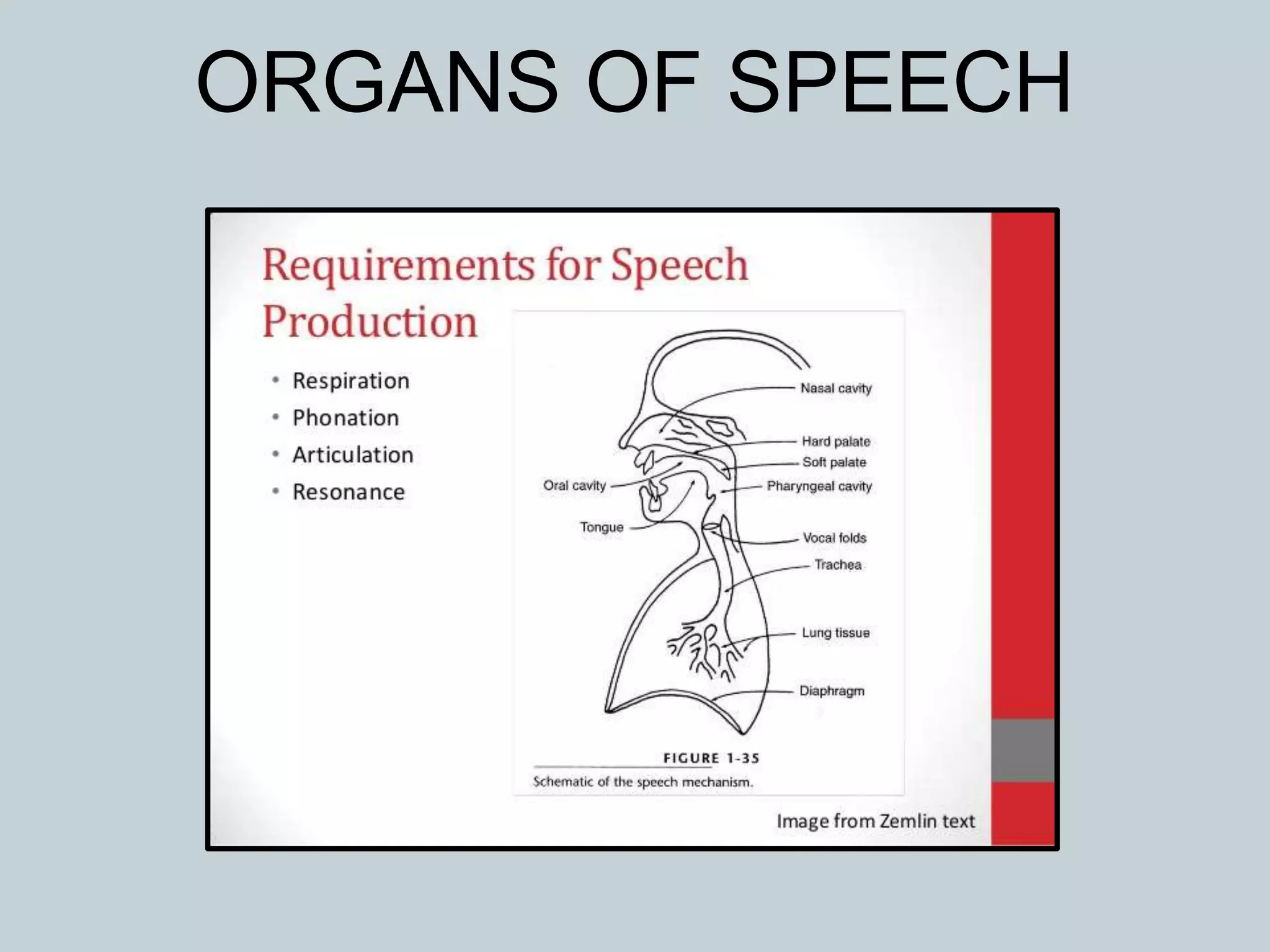 English 3 mechanics of speech | PPTX