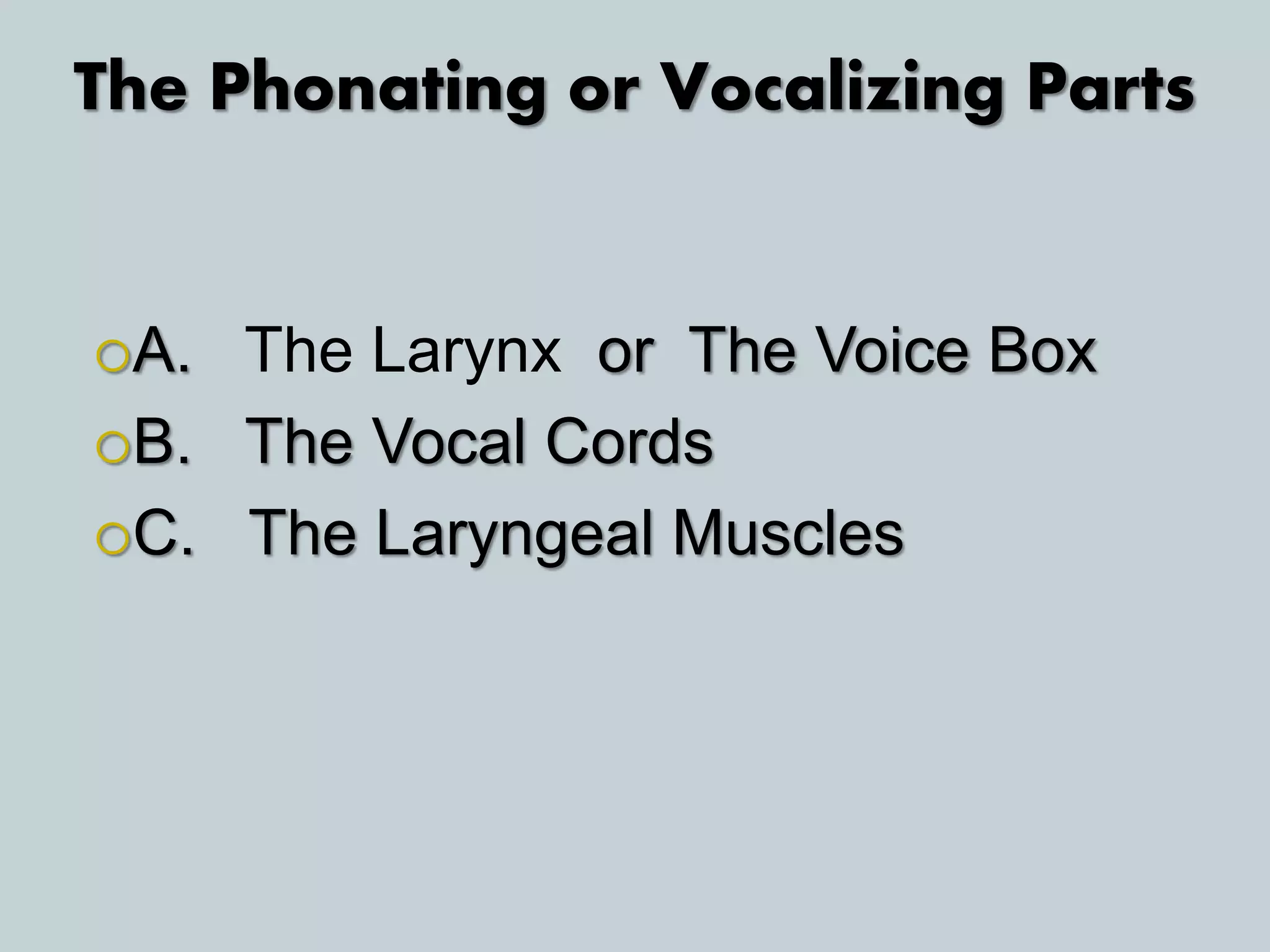 English 3 mechanics of speech | PPTX