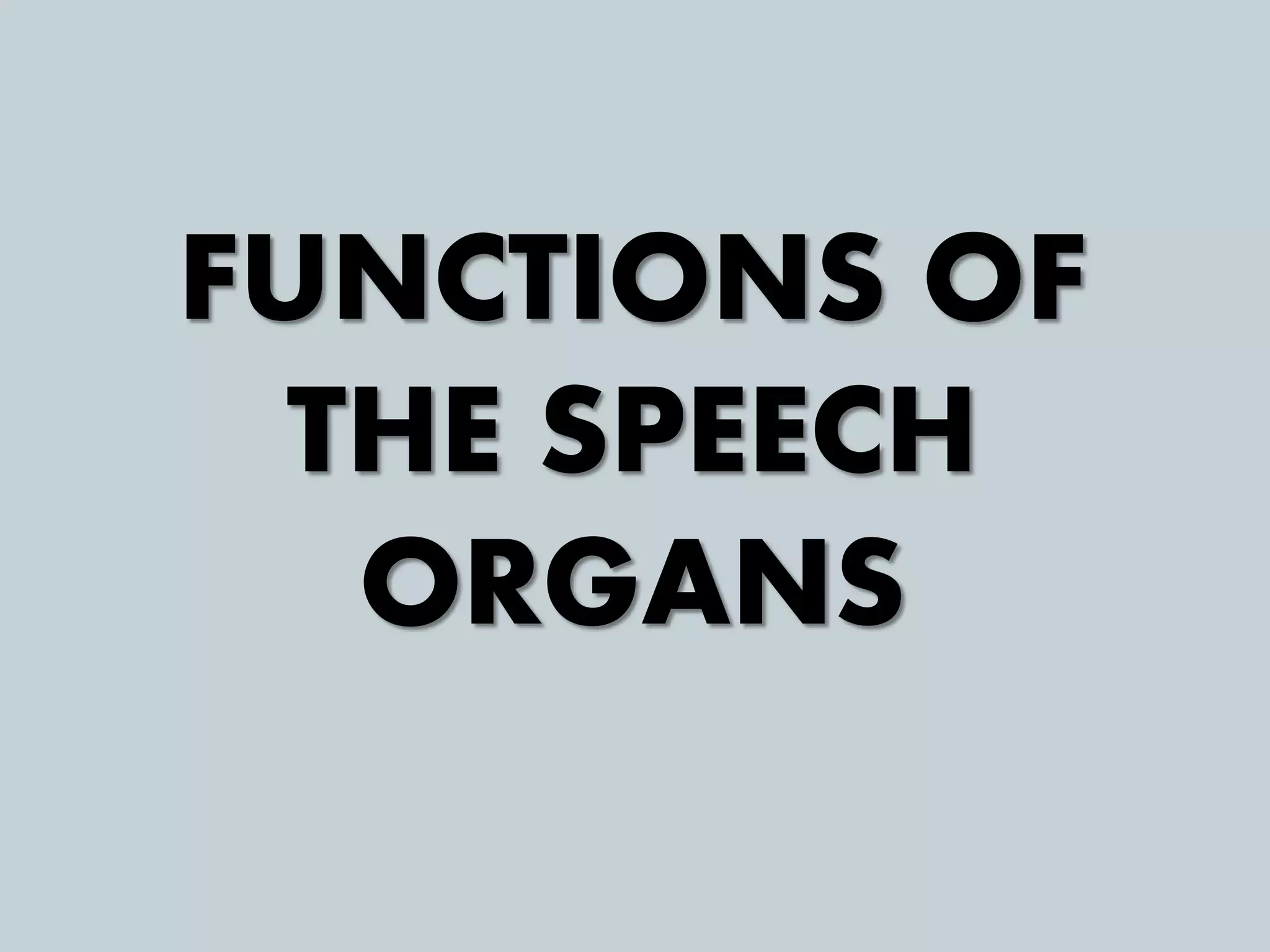 English 3 mechanics of speech | PPTX