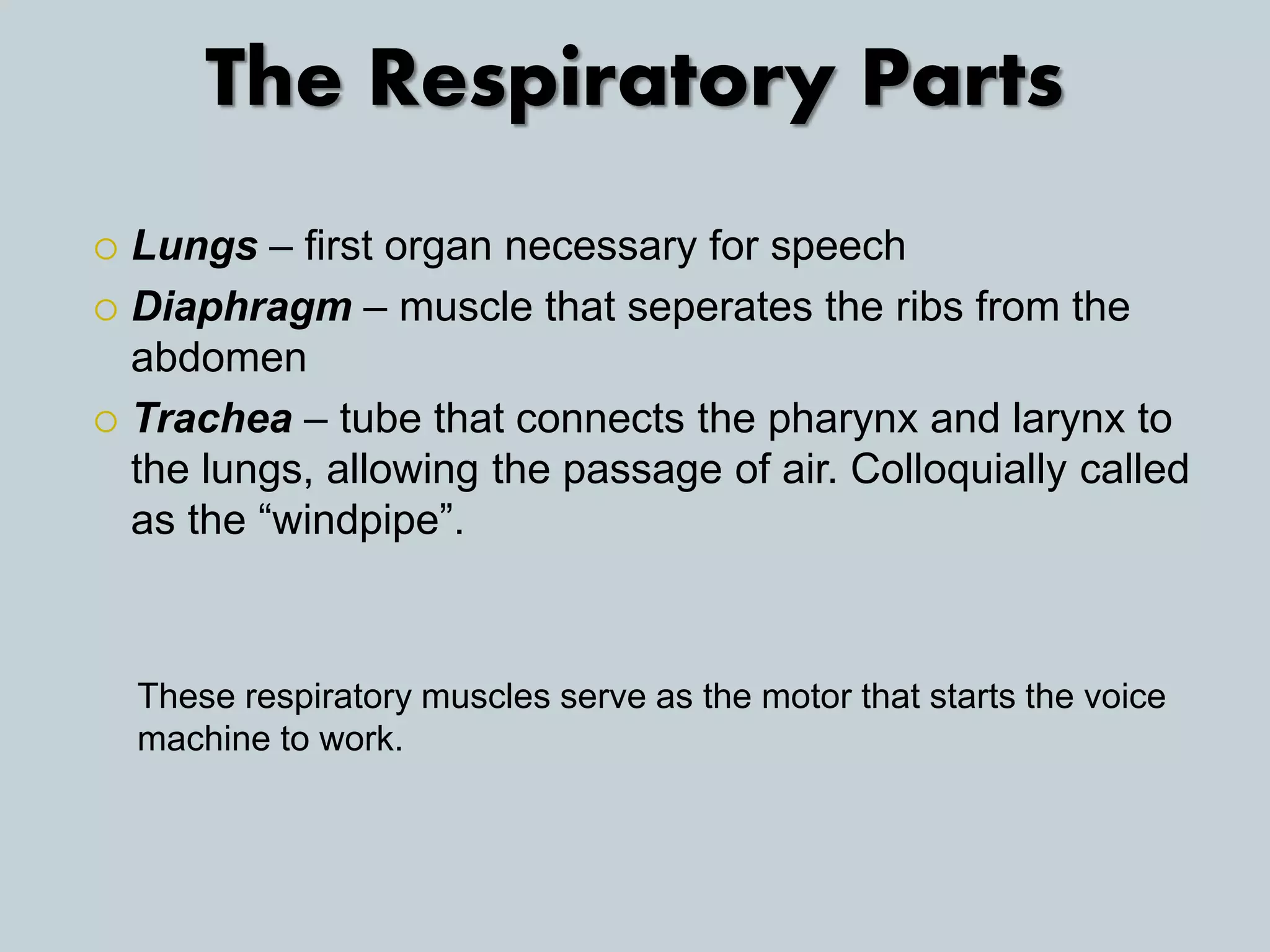 English 3 mechanics of speech | PPTX