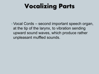 English 3 mechanics of speech | PPTX