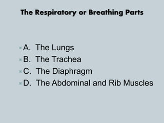 English 3 mechanics of speech | PPTX