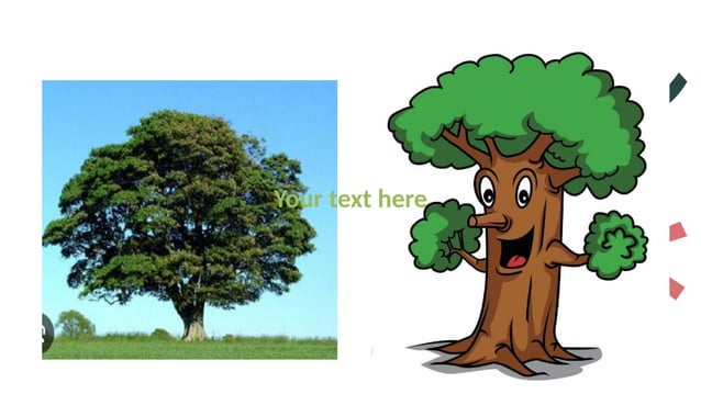 MATATAG LESSON ONGRADE 4 ENGLISH QUARTER 2 WEEK 1.pptx