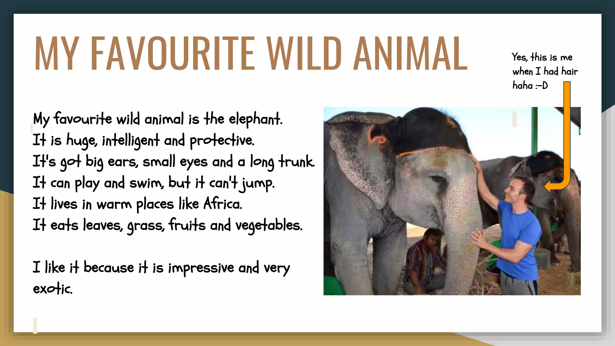 English 5th grade SLIDE 4 | PPTX