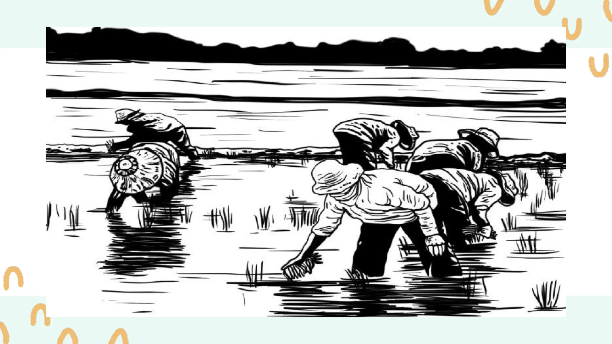 English 6-Visual-Literacy-Through-Images-Describing-Forms-and ...