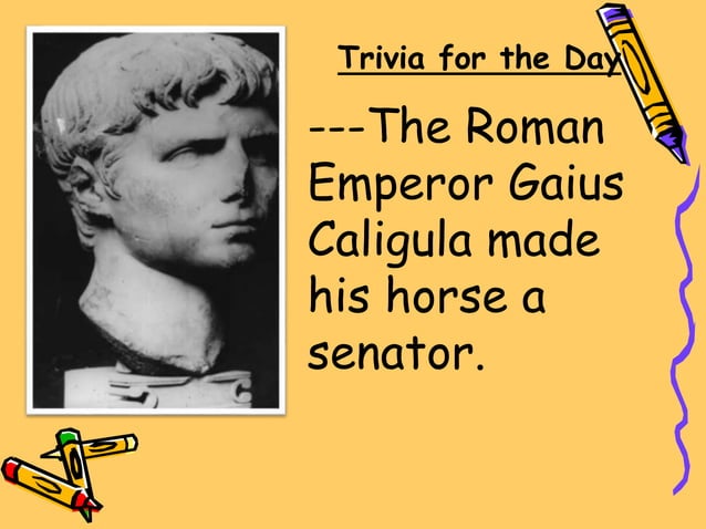 How to Report In-front of a Class | PPTX