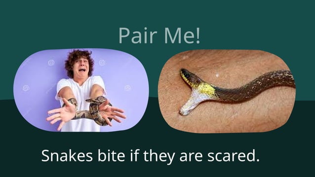 English 9pptx Using Conditionals In Expressing An Arguments Pptx Programming Languages