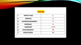 english abhay CBSE.pptx
