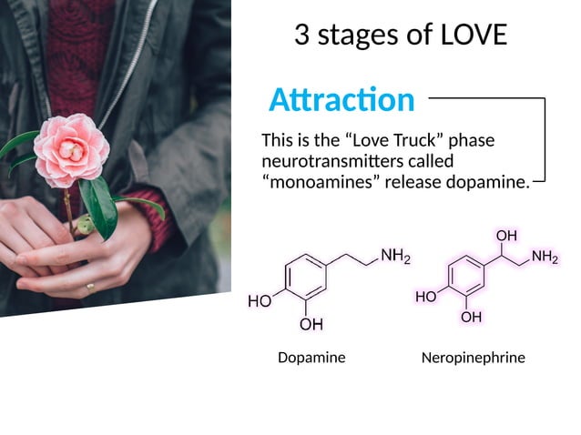 Chemistry of love: Telling about how chemistry work in love | PPTX
