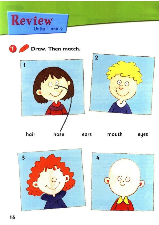 English Adventure Starter B Pupil's book | PDF