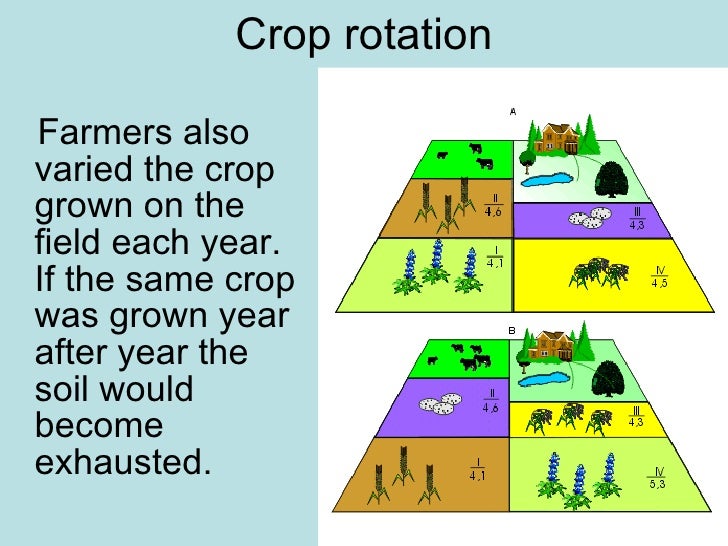 George Washington Carver Crop Rotation