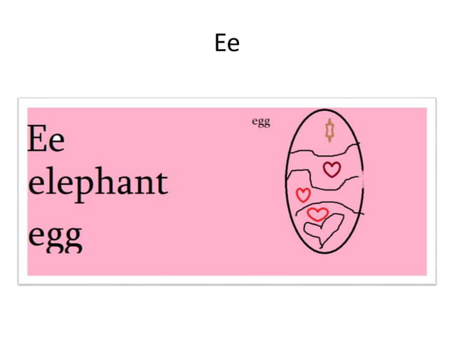 ENGLISH ALPHABET.pptx