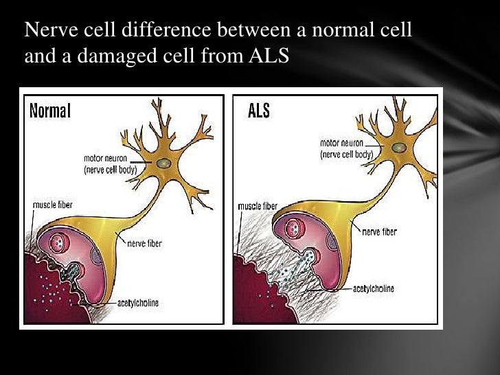 English als powerpoint