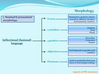 English as an indo european language | PPTX