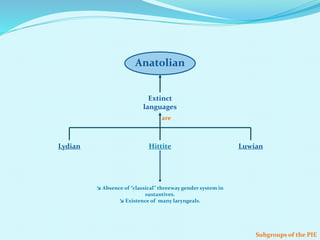 English as an indo european language | PPTX