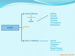 English as an indo european language | PPTX
