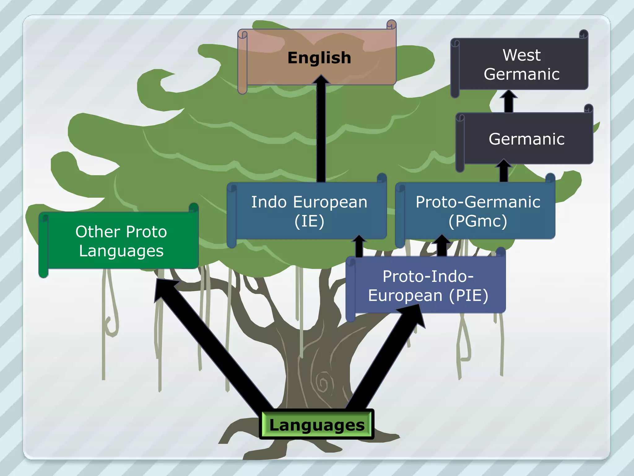 English as an indo European language PPT | PPTX