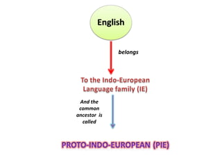 English as an indo european language | PPT
