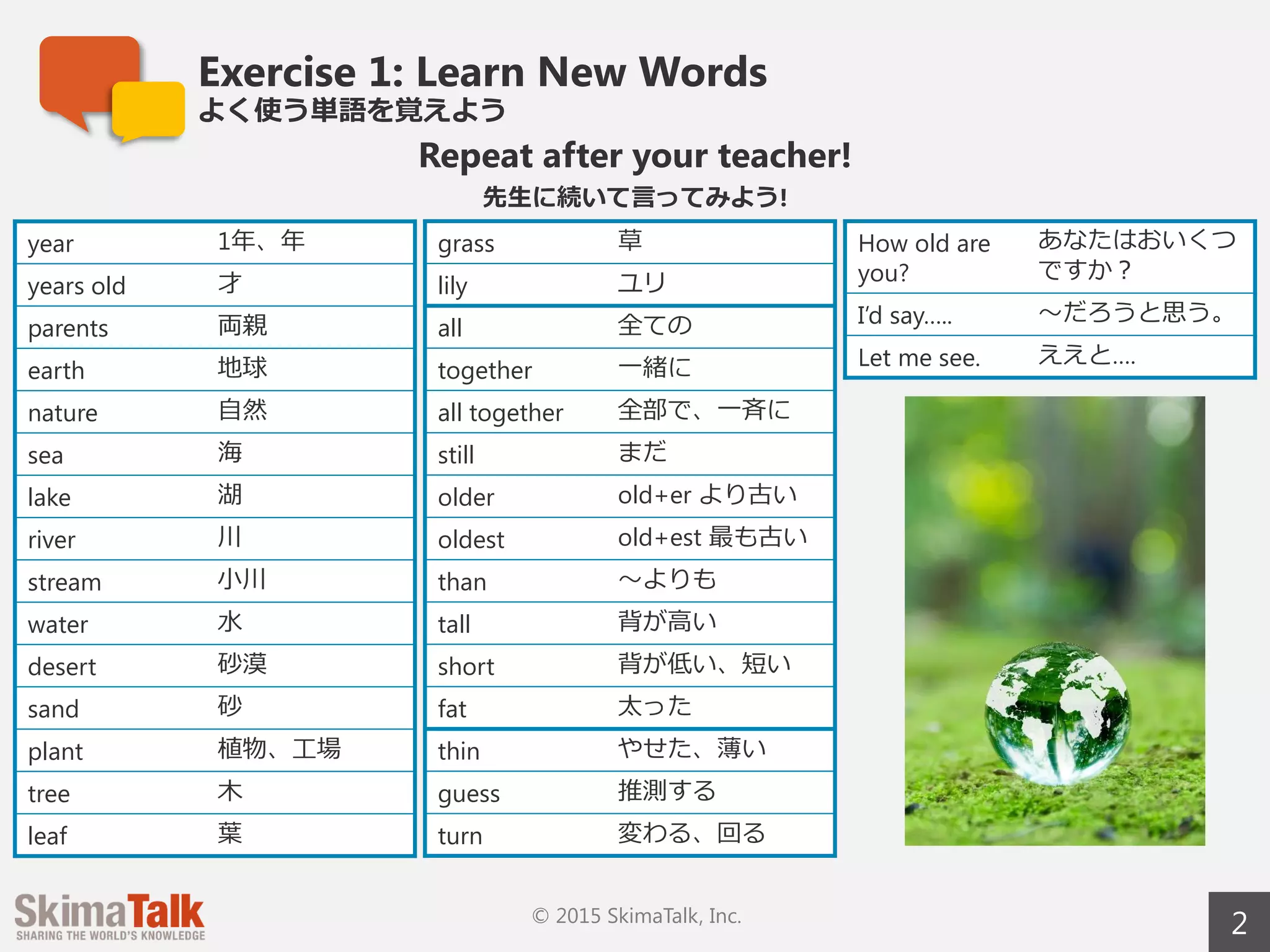 English basics for beginners - Lesson 11 | PDF