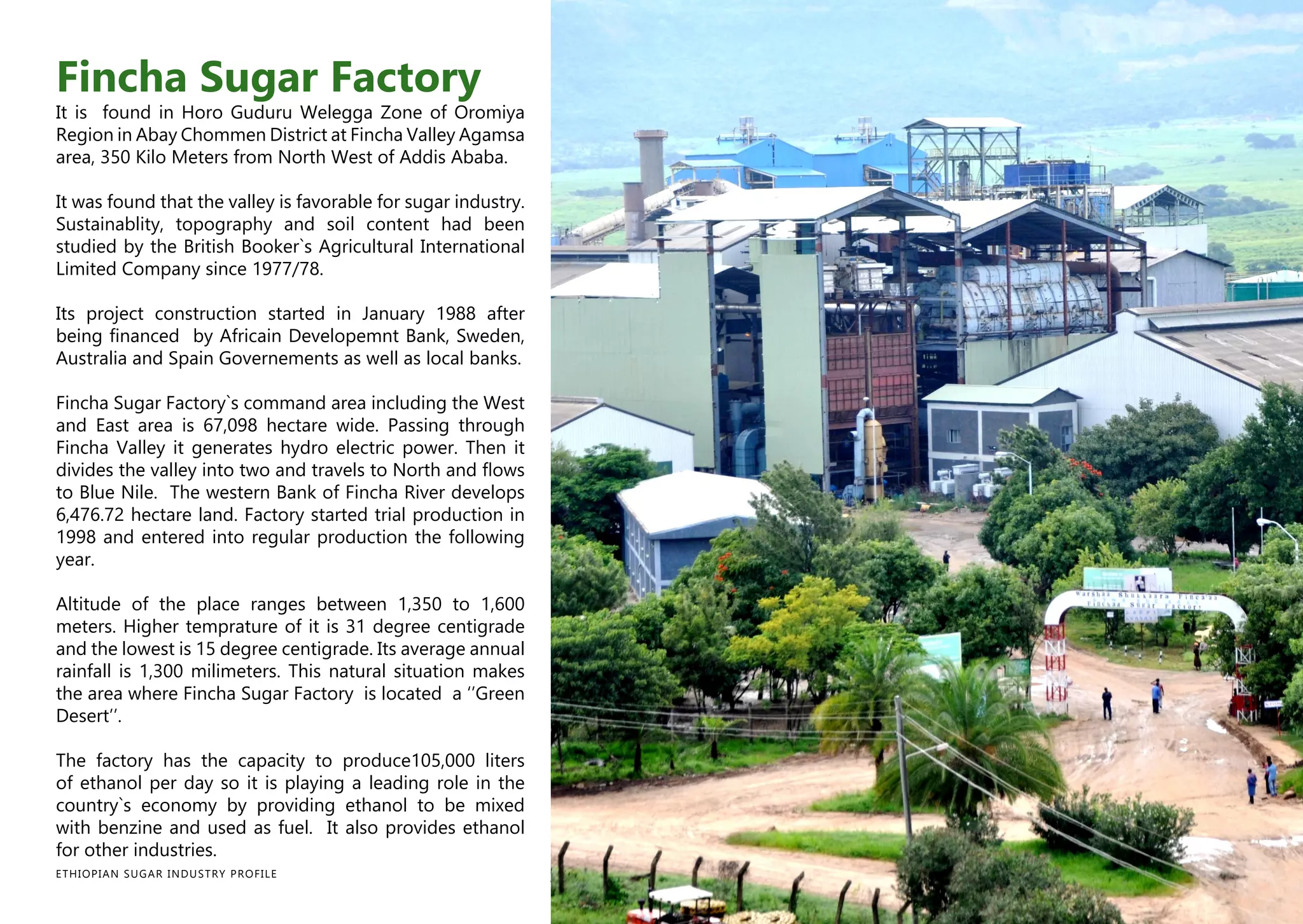 Ethiopian Sugar Industry Profile | PDF