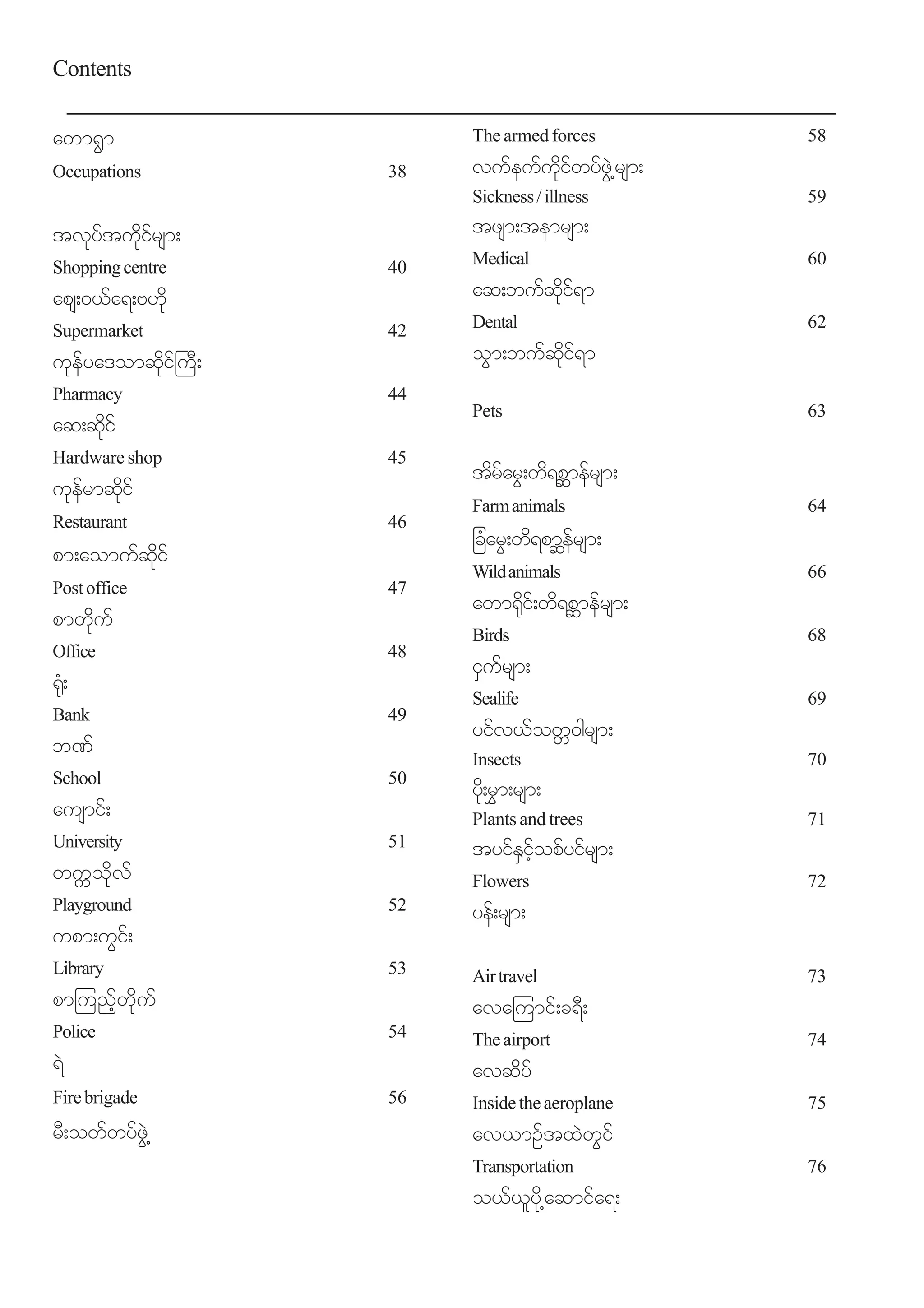 English burmese picture_dictionary | PDF