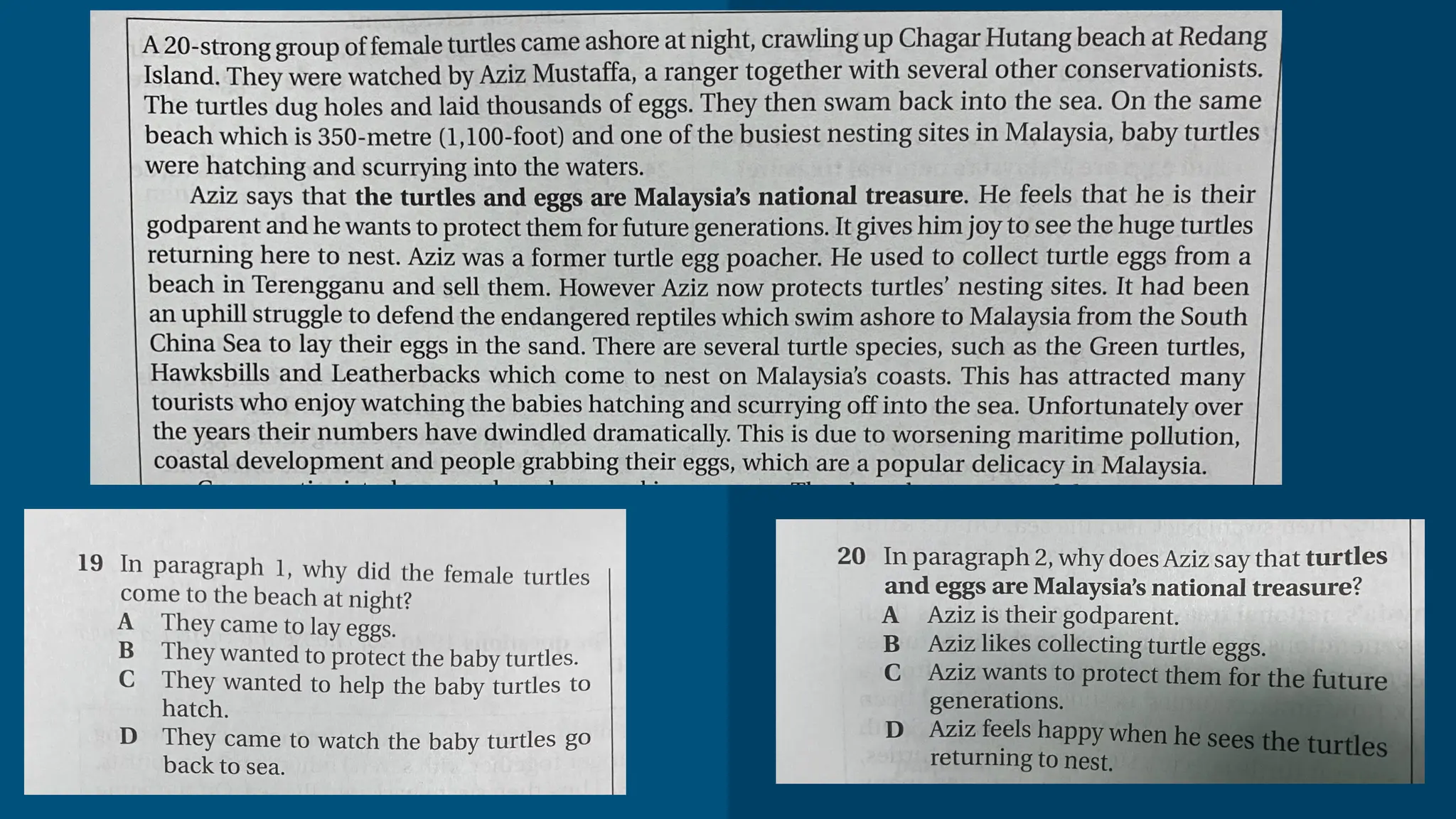 English Class Paper 1 Part 2 & Part 3.pptx