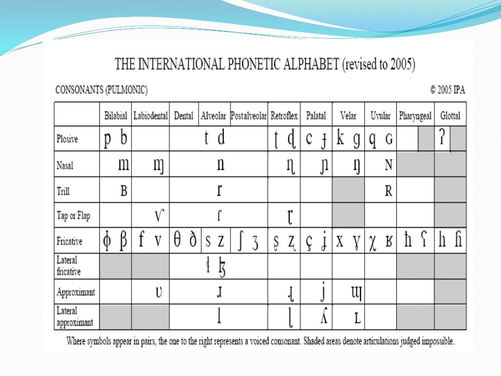 English consonants and classification