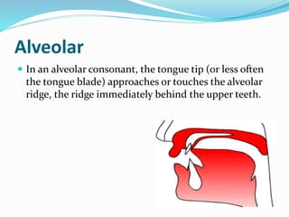 English consonant sounds by Monir Hossen | PPTX