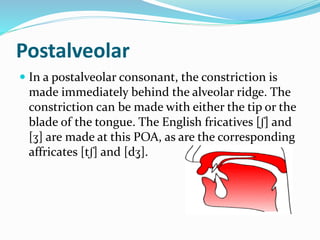 English consonant sounds by Monir Hossen | PPTX