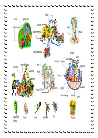 English dictionary with pictures | PDF