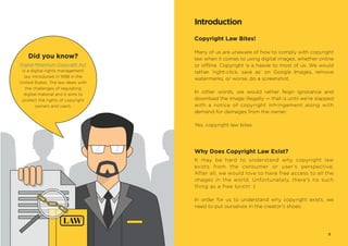 The (Almost) Complete Guide To Image Copyright | PDF