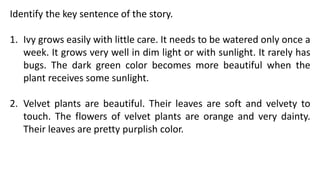 English eIMs - key sentence | PPT