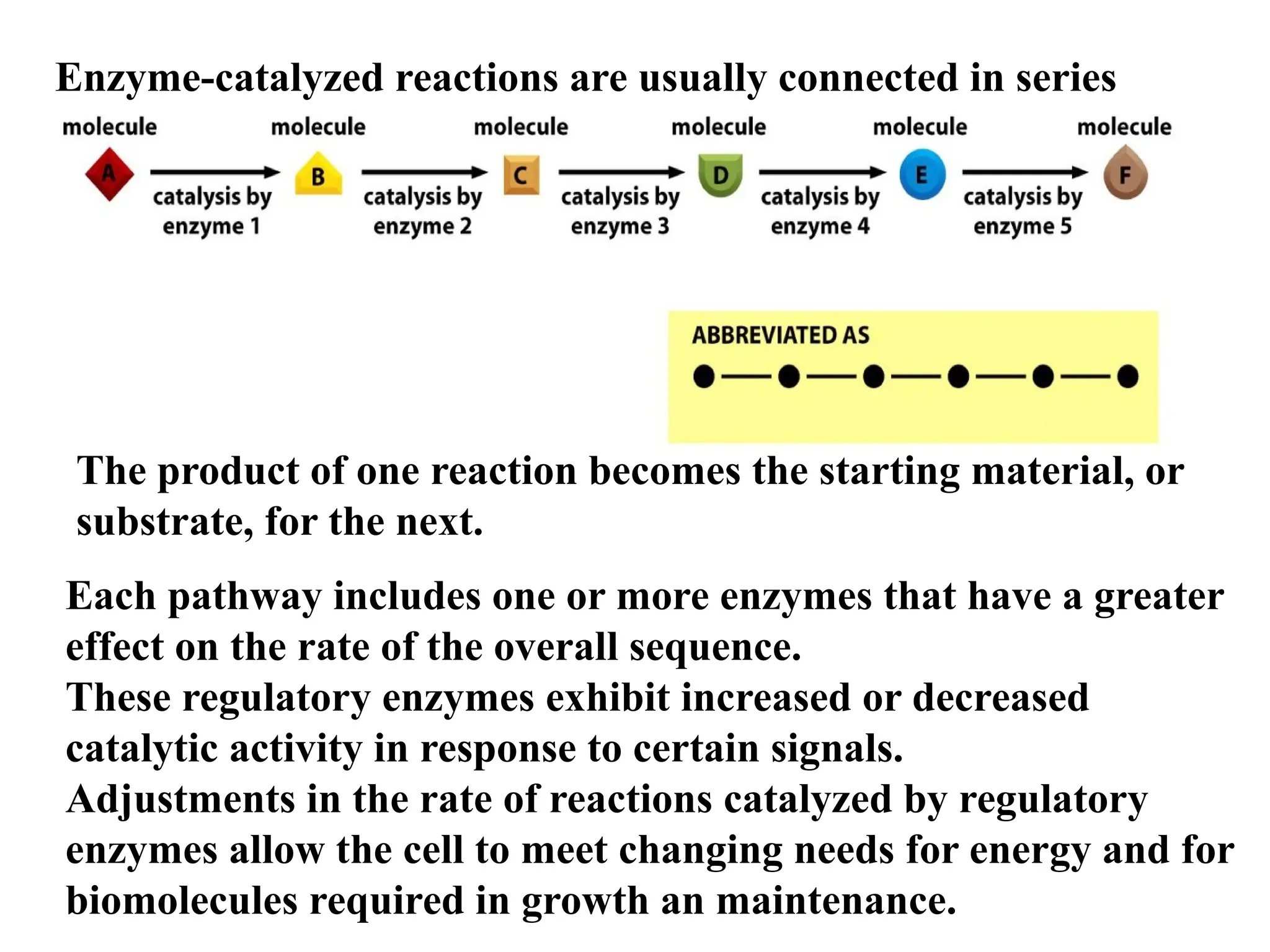 Biochemistry english enzymes Enzymes.pptx