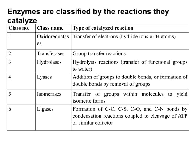Biochemistry english enzymes Enzymes.pptx