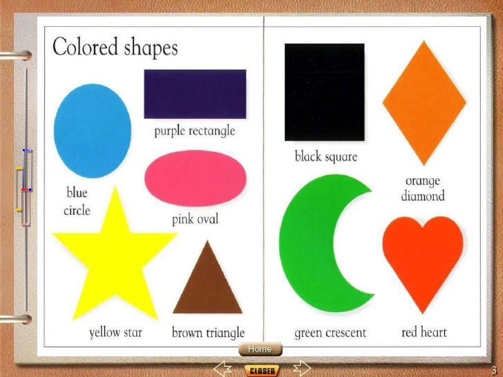 english-essential-vocabulary-a-little-english-dictionary-4-kids