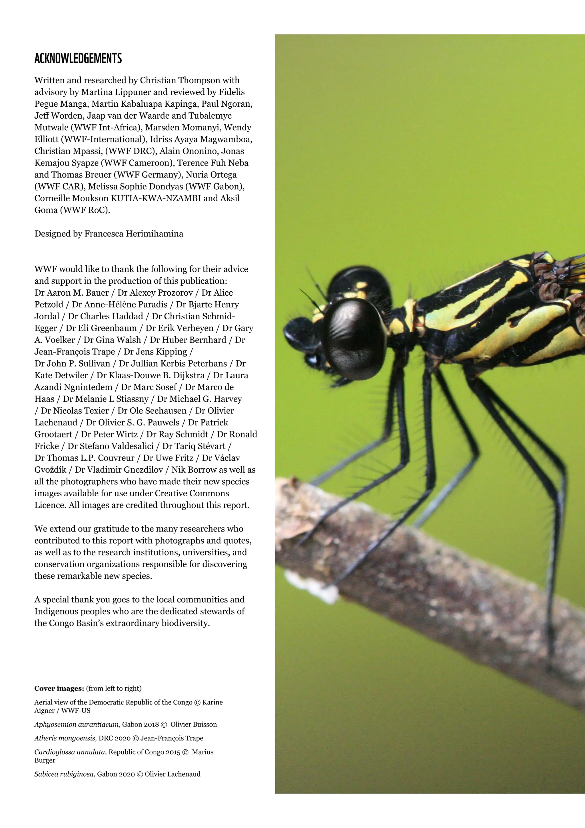 WWF Report. New Life Report in the Congo Basin | PDF