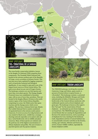 WWF Report. New Life Report in the Congo Basin | PDF