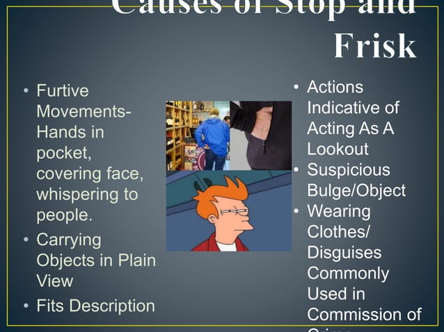 English Final stop & frisk | PPT